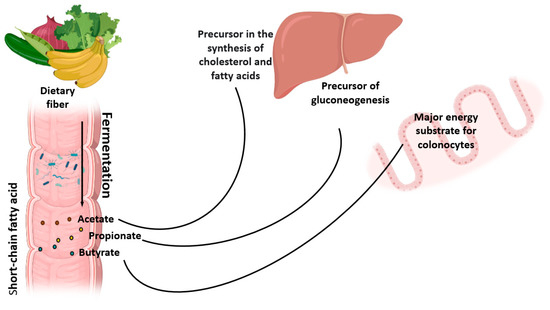 Therapeutic Benefits and Dietary Restrictions of Fiber Intake: A State ...