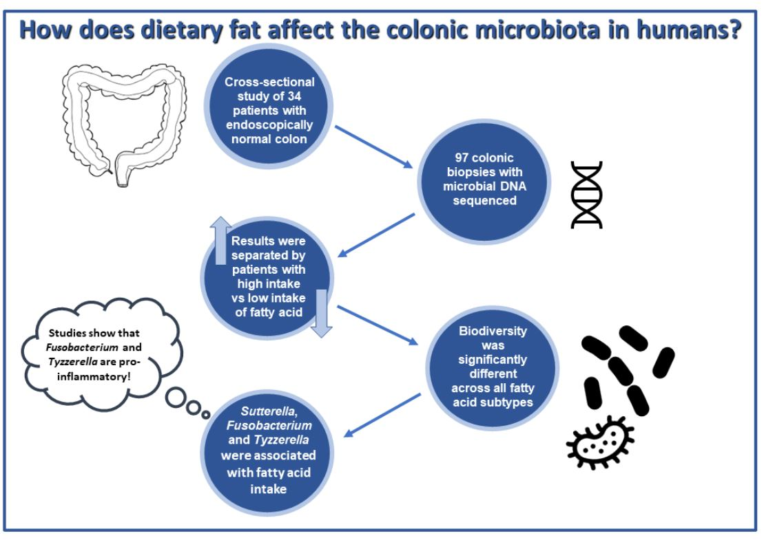 Nutrients | Free Full-Text | Dietary Fatty Acid Intake and the Colonic ...