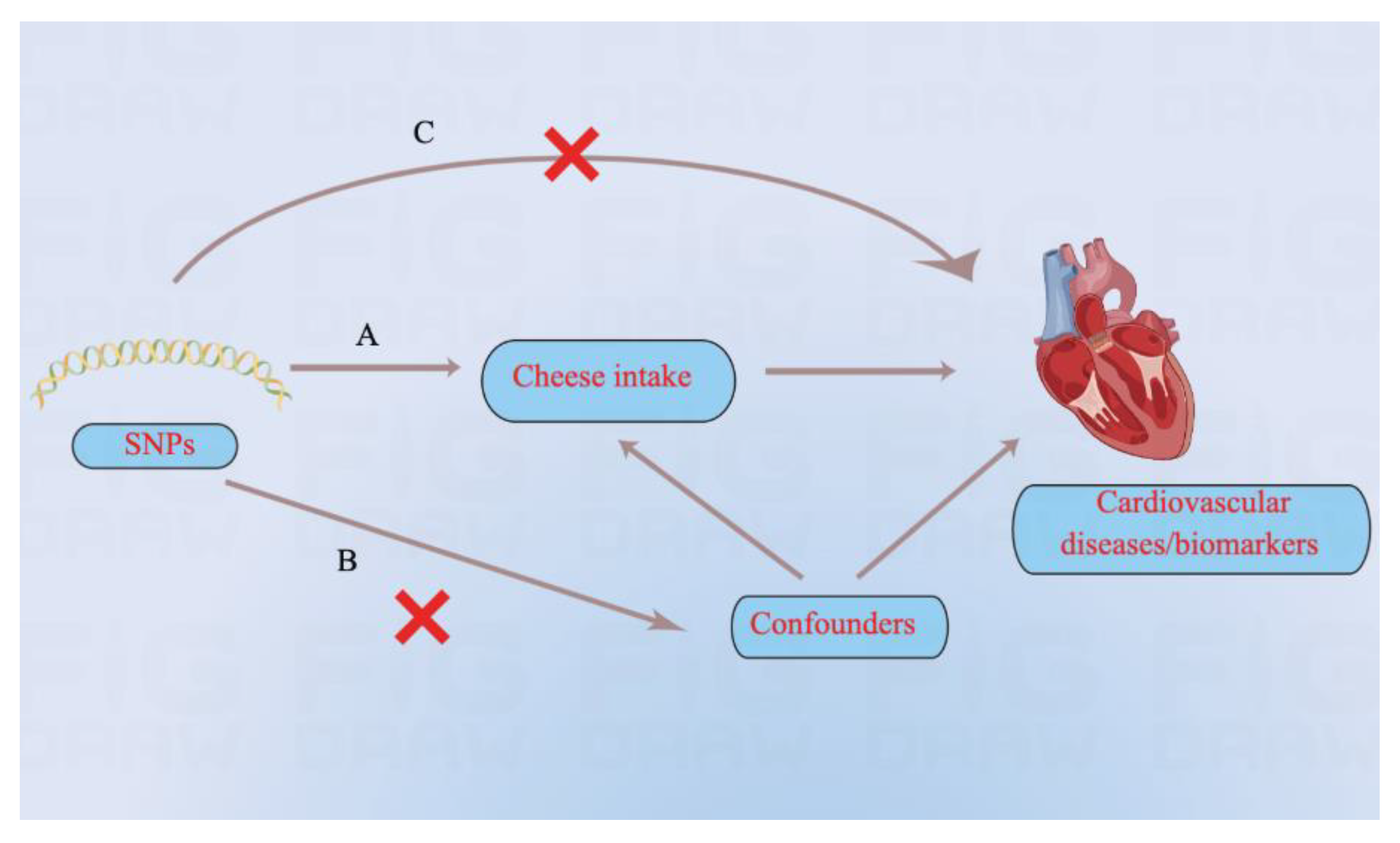 Effect of Cheese Intake on Cardiovascular Diseases and Cardiovascular ...