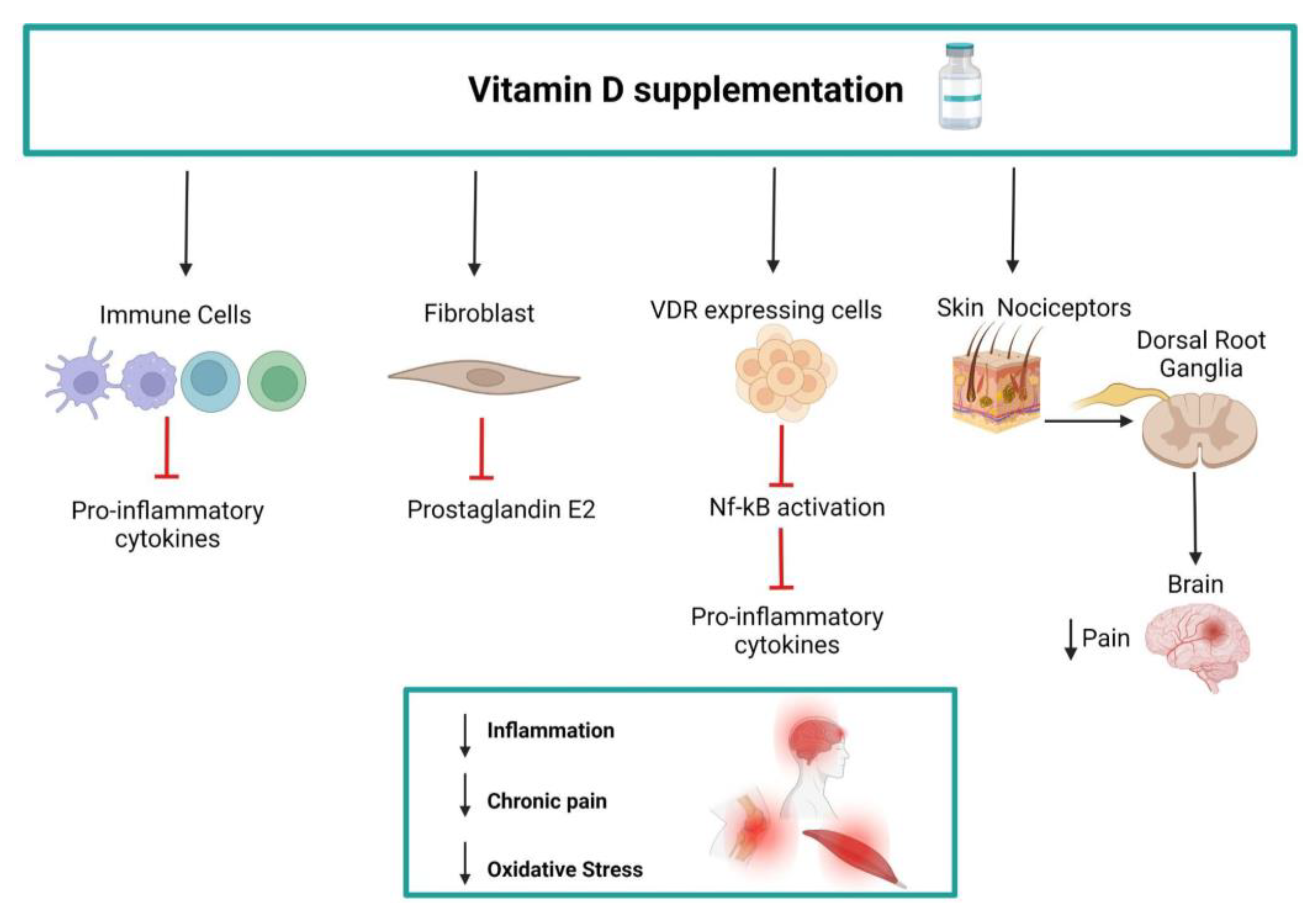 Nutrients Free Full Text The Efficacy Of Vitamin D Supplementation