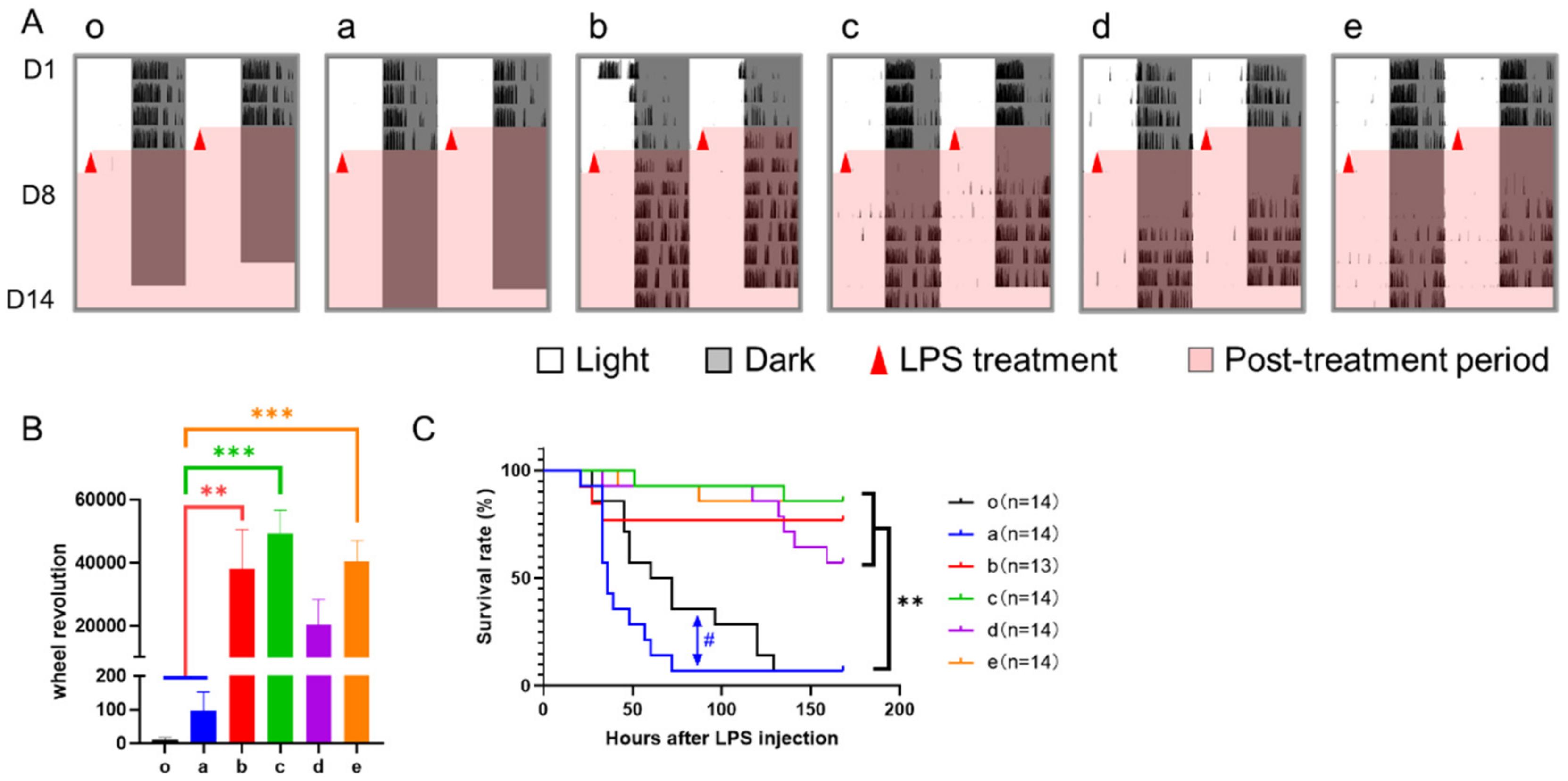 Impact of Time-Restricted Feeding on Adaptation to a 6-Hour Delay Phase ...