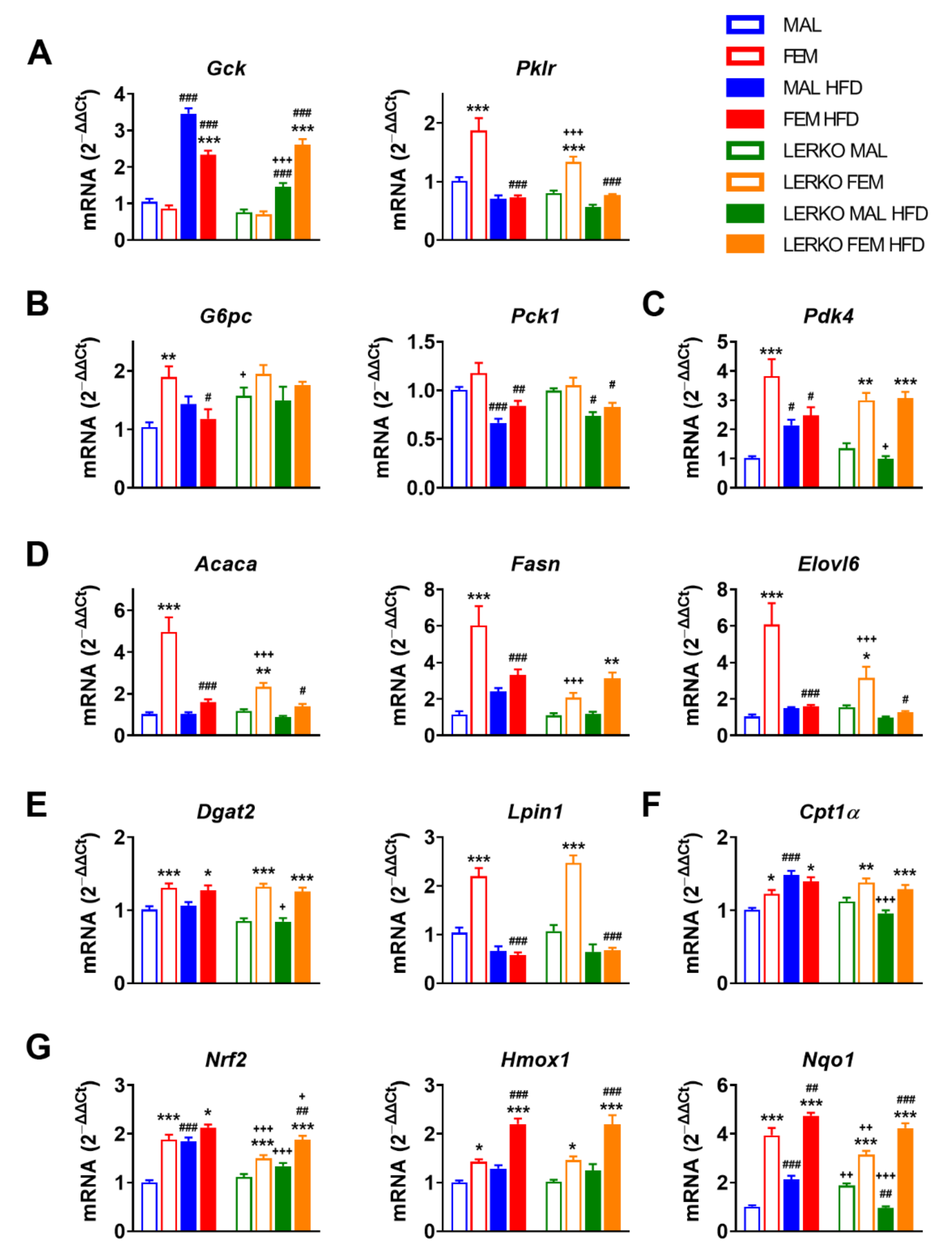Nutrients Free Full Text Erα Dependent Regulation Of Adropin