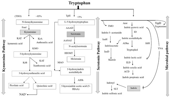 Neuroprotective Natural Products’ Regulatory Effects on Depression via ...