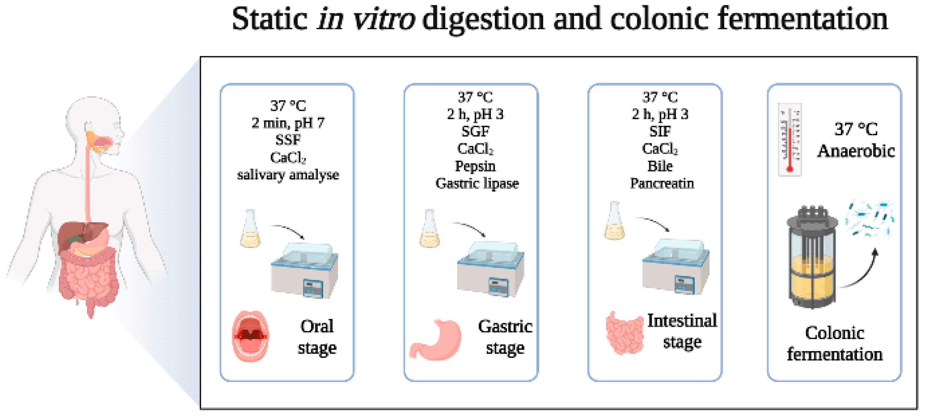Effects of Marine Bioactive Compounds on Gut Ecology Based on In Vitro ...