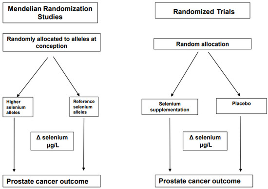 An Overview of Methods and Exemplars of the Use of Mendelian ...