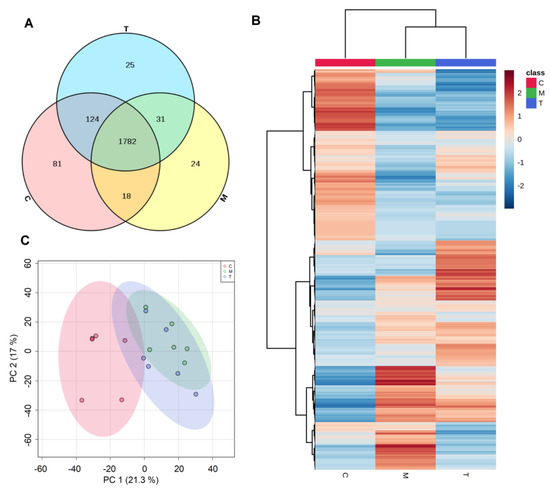 Nutrients | Free Full-Text | Comparative Proteomic Analysis of Proteins ...