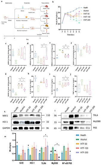 Hawk Tea Flavonoids as Natural Hepatoprotective Agents Alleviate Acute ...
