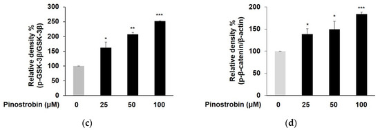 Discovery of Pinostrobin as a Melanogenic Agent in cAMP/PKA and p38 ...