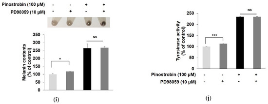 Discovery of Pinostrobin as a Melanogenic Agent in cAMP/PKA and p38 ...