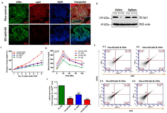 Mechanistic Role of Jak3 in Obesity-Associated Cognitive Impairments