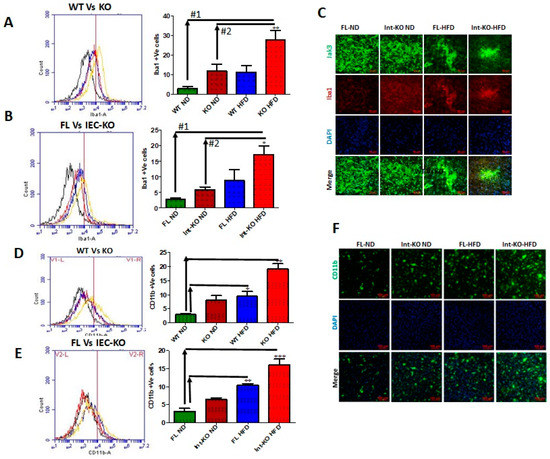 Mechanistic Role of Jak3 in Obesity-Associated Cognitive Impairments