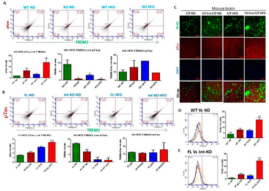 Mechanistic Role of Jak3 in Obesity-Associated Cognitive Impairments