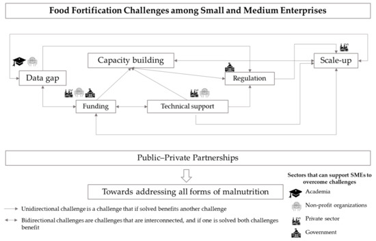 Small and Medium Enterprises’ Perspectives on Food Fortification Amid ...
