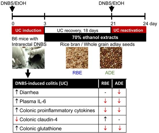 Nutrients | Free Full-Text | Ethanol Extracts of Rice Bran and Whole ...