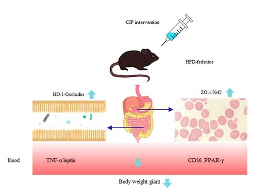 Nutrients | Free Full-Text | Isinglass Polysaccharides Regulate ...
