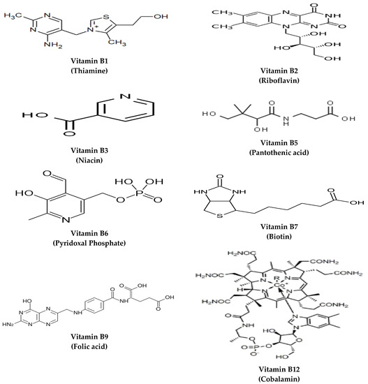 Dietary Vitamin B Complex: Orchestration in Human Nutrition throughout ...