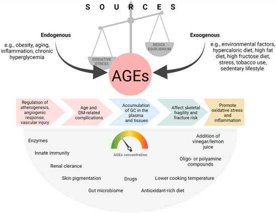 Accumulation of Advanced Glycation End-Products in the Body and Dietary ...
