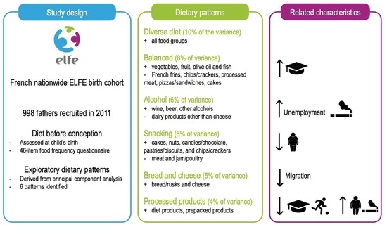 Nutrients | Free Full-Text | Paternal Diet before Conception and Its ...