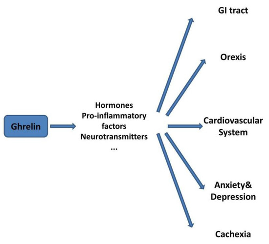 Molecular Mechanisms and Health Benefits of Ghrelin: A Narrative Review