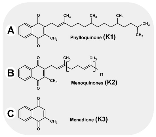 Vitamin K Contribution to DNA Damage—Advantage or Disadvantage? A Human ...