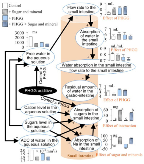 Lower Rate of Water Absorption of an Oral Rehydration Solution with ...