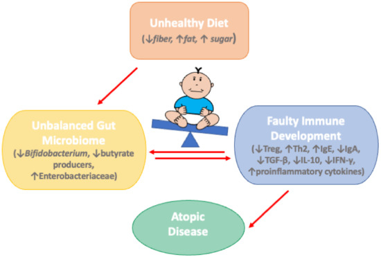 Nutrition, Gut Microbiota, and Allergy Development in Infants