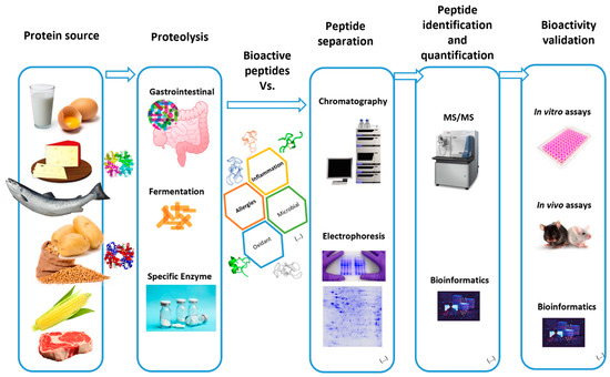 Proteomics Characterization of Food-Derived Bioactive Peptides with ...