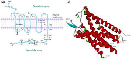 Targeting the Platelet-Activating Factor Receptor (PAF-R ...
