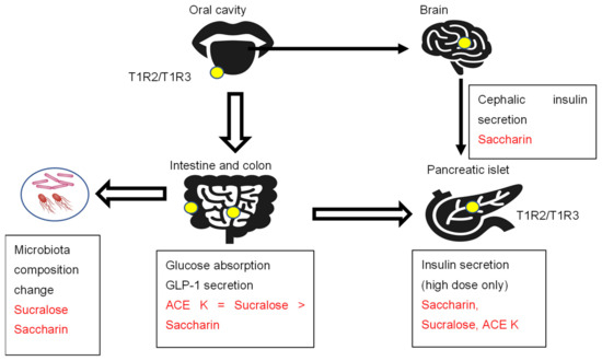 Is the Use of Artificial Sweeteners Beneficial for Patients with ...