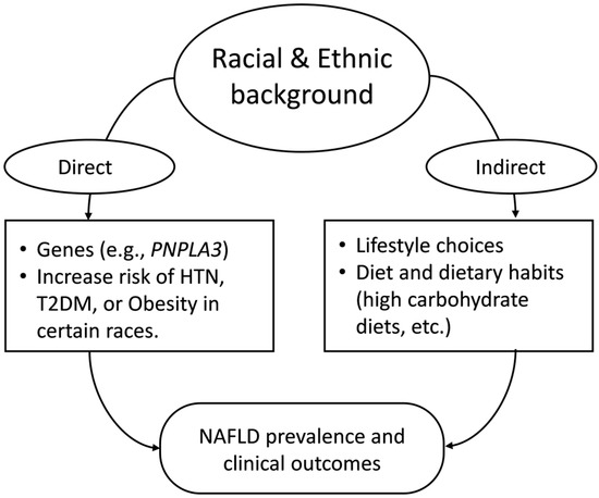 Race And Ethnicity In Non Alcoholic Fatty Liver Disease Nafld A