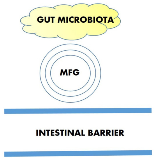 The Immunological Role of Milk Fat Globule Membrane
