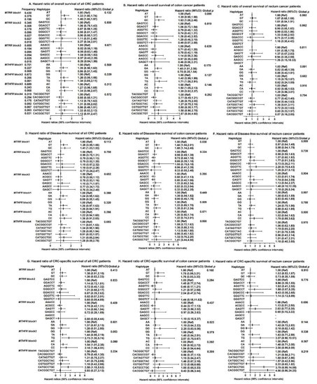 The Roles of MTRR and MTHFR Gene Polymorphisms in Colorectal Cancer ...