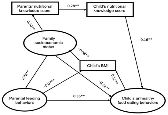 Neighborhood Food Environment and Children’s BMI: A New Framework with ...