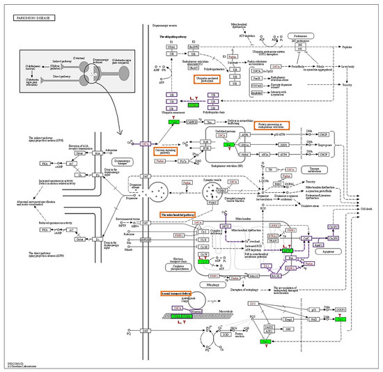 Nutrients | Free Full-Text | Tocotrienol-Rich Fraction and Levodopa ...