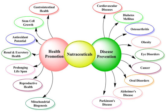 A Comprehensive Review on Nutraceuticals: Therapy Support and ...