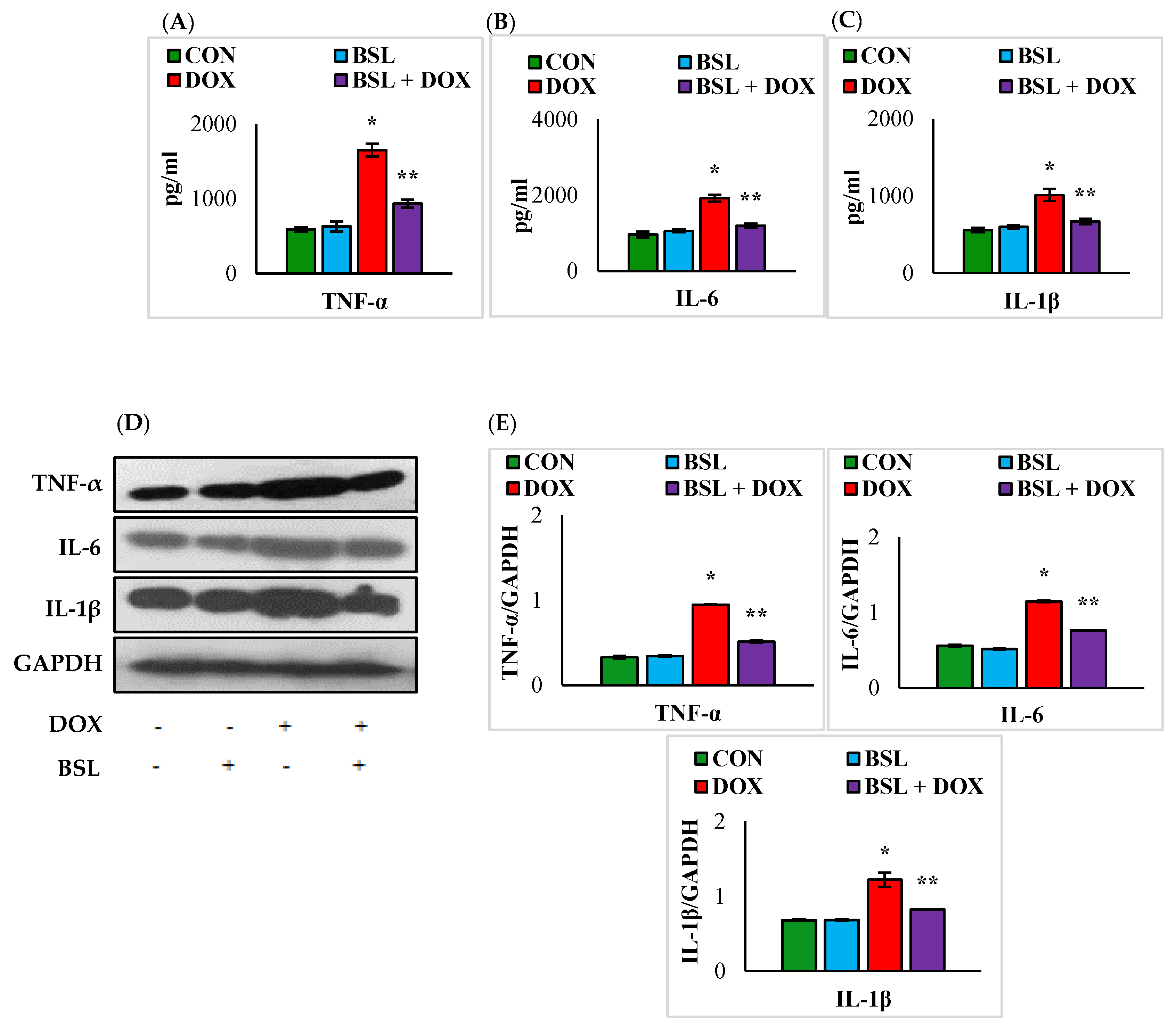 α-Bisabolol Attenuates NF-κB/MAPK Signaling Activation and ER-Stress ...