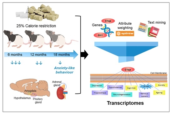 Nutrients | Free Full-Text | Long-Term Calorie Restriction Alters ...