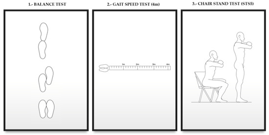 Impact of the Nutrition–Inflammation Status on the Functionality of ...
