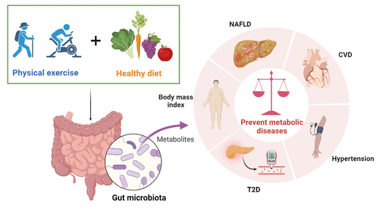 Nutrients Free Full Text Combined Physical Exercise And Diet Regulation Of Gut Microbiota