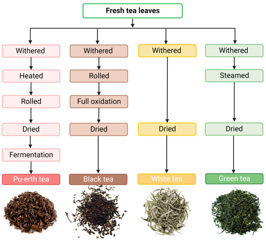 Effects of Fermentation Time and Type of Tea on the Content of ...