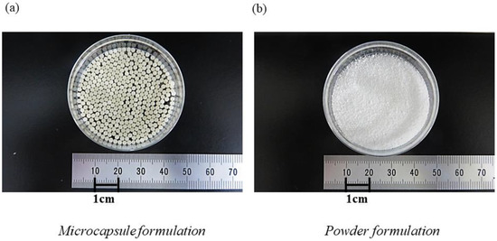 Nutrients | Free Full-Text | Effect of a Bifidobacterium-Containing ...