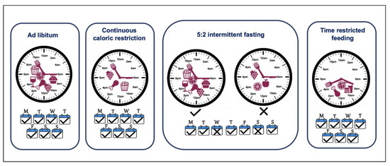 Chrononutrition—When We Eat Is of the Essence in Tackling Obesity