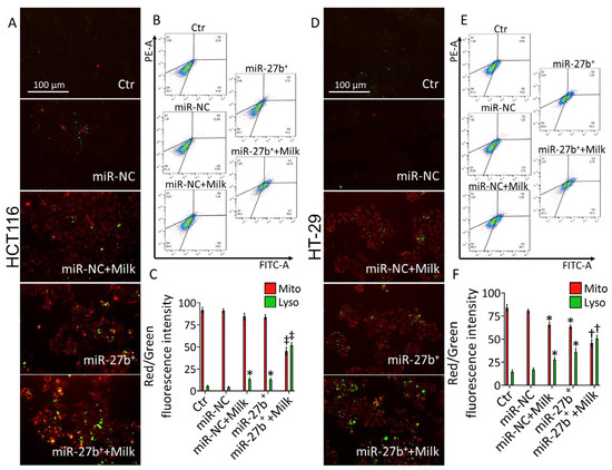 Milk Exosomal miR-27b Worsen Endoplasmic Reticulum Stress Mediated ...