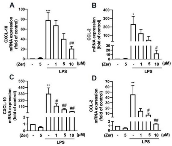 Role of Zerumbone, a Phytochemical Sesquiterpenoid from Zingiber ...