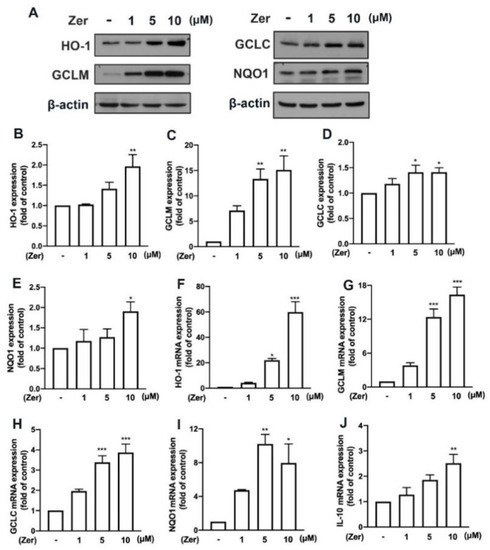 Role of Zerumbone, a Phytochemical Sesquiterpenoid from Zingiber ...