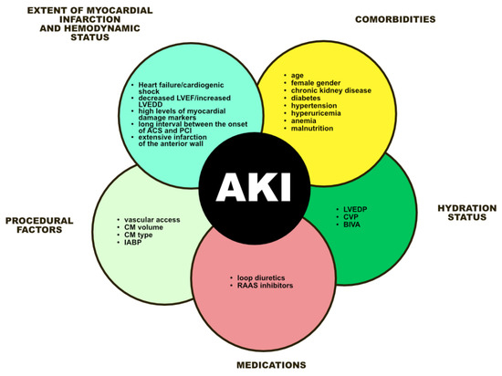 What Promotes Acute Kidney Injury in Patients with Myocardial ...