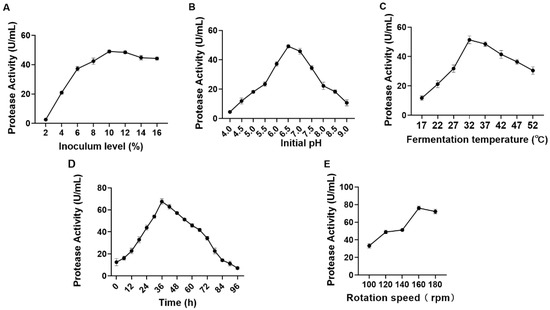 Purification of Extracellular Protease from Staphylococcus simulans ...