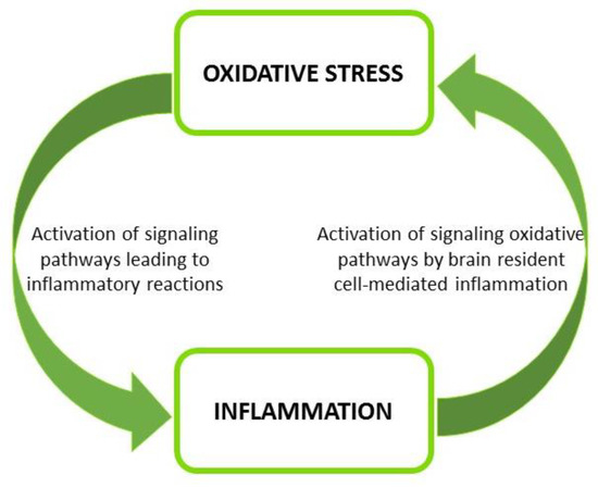 Influence of Oxidative Stress and Inflammation on Nutritional Status ...