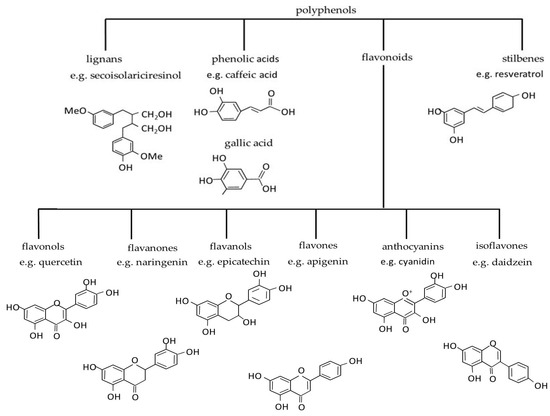 Polyphenol Supplementation and Antioxidant Status in Athletes: A ...