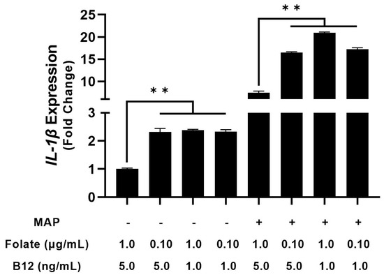 Folate and Vitamin B12 Deficiency Exacerbate Inflammation during ...